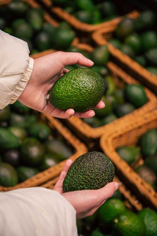 Nuestra Empresa - GoDani | Exportamos frutas y vegetales frescos ...